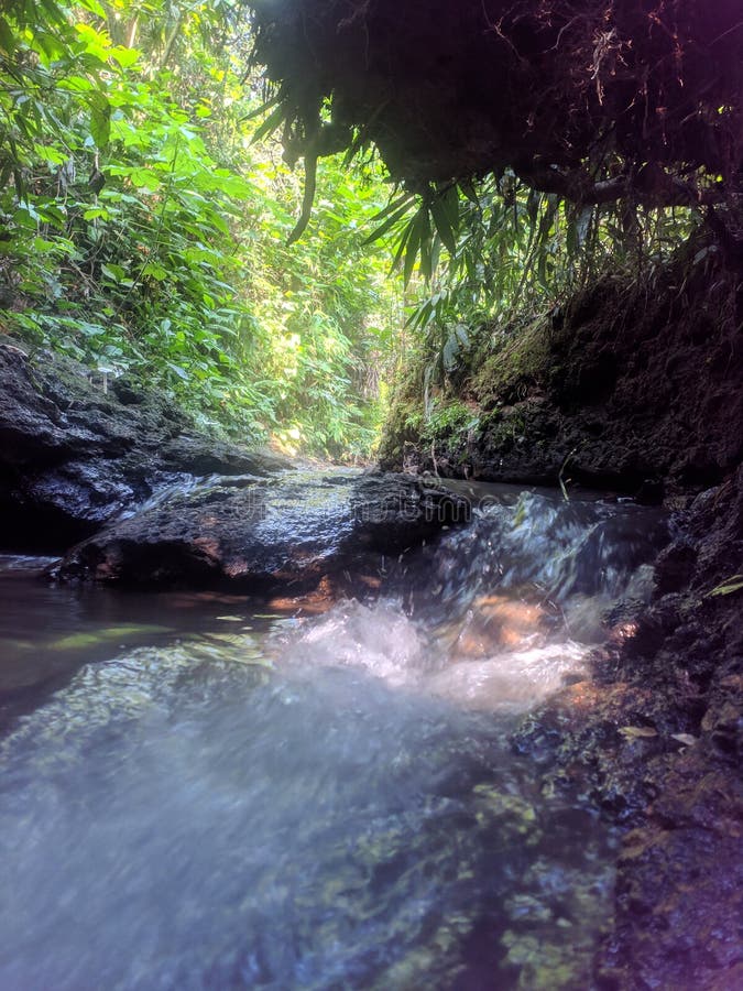The Flow of Clear and Very Cool River Water in the Bogor Area, West ...