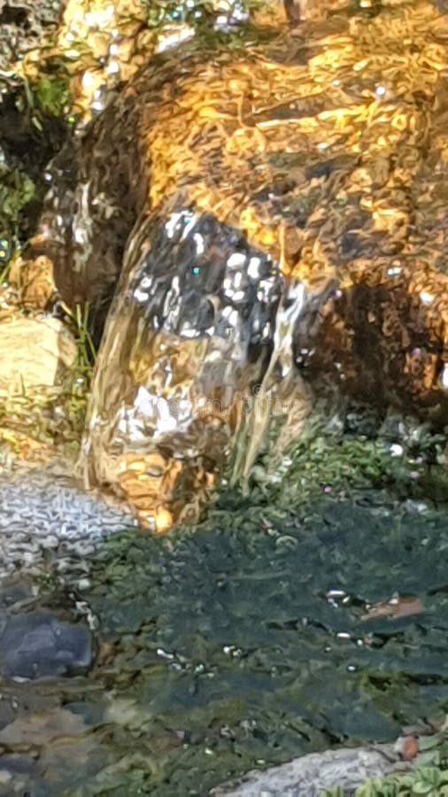 Cool Refreshing and Calming Stock Photo - Image of pond, calming: 254093804