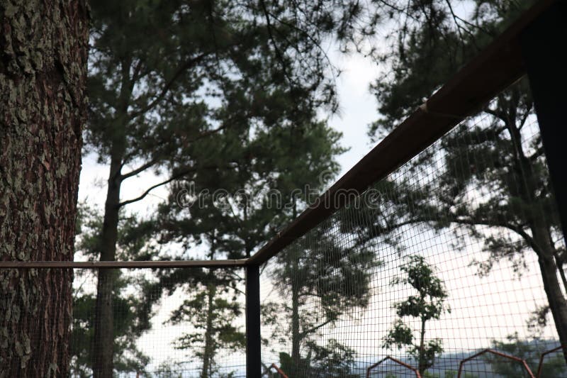 Cool and Fresh Natural Scenery with Trees during the Day Pijar Garden ...