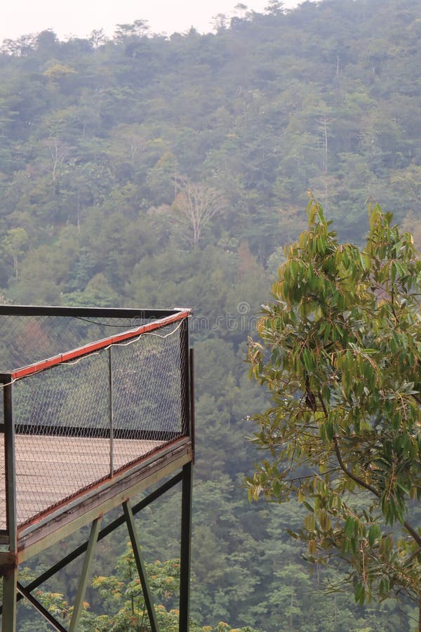 Cool and Fresh Natural Scenery with Trees during the Day Pijar Garden ...