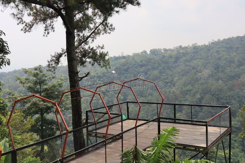 Cool and Fresh Natural Scenery with Trees during the Day Pijar Garden ...