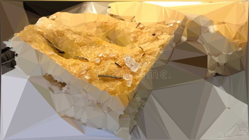 A Cool Geometric Visual Closeup of Food Stock Photo - Image of cool ...