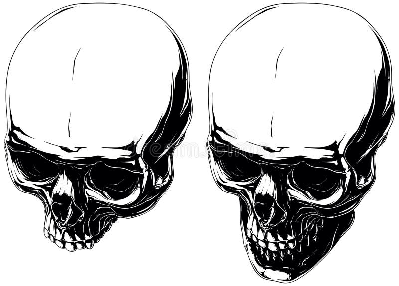 Cool Graphic Detailed Human Skulls Set Stock Vector - Illustration of ...
