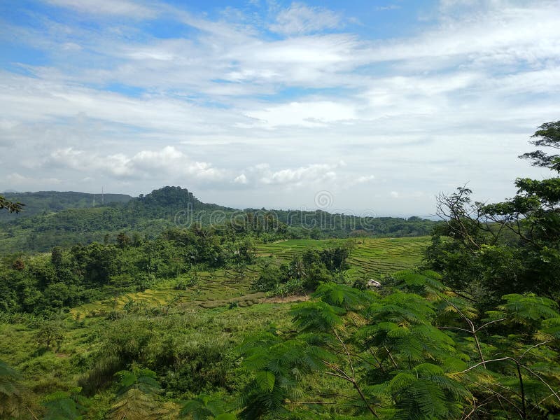 A Cool Green Nature View stock photo. Image of view - 213043838