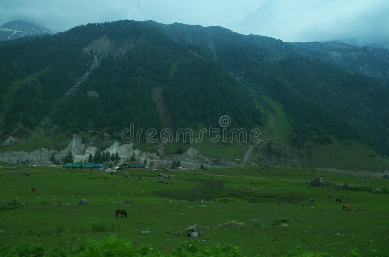 Monsoon Scene of an Indian Village Stock Image - Image of monsoon, fine ...