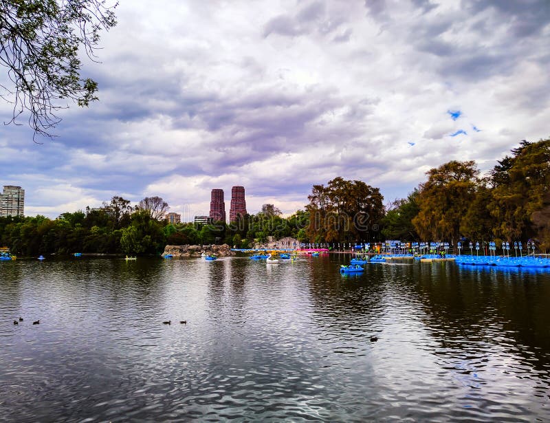 Cool Lake, Boats and Plants Stock Photo - Image of water, waterway ...