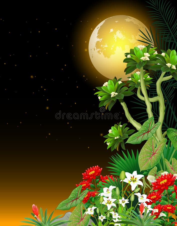 Cool Night Atmosphere with Realistic Scenery and Forest from the ...