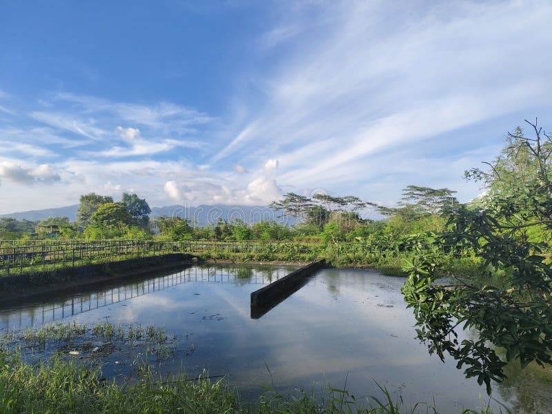 Cool Natural Atmosphere in the Afternoon Stock Image - Image of ...