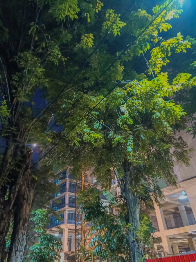 Cool and Pleasant Night View Stock Image - Image of clouds, night ...