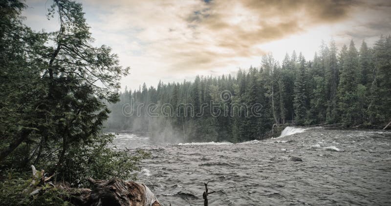 Cool river in forest stock photo. Image of nature, people - 108055204