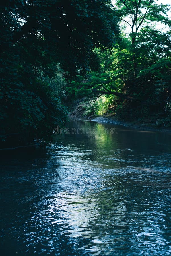 Cool River in the Shade of Trees Stock Image - Image of green ...