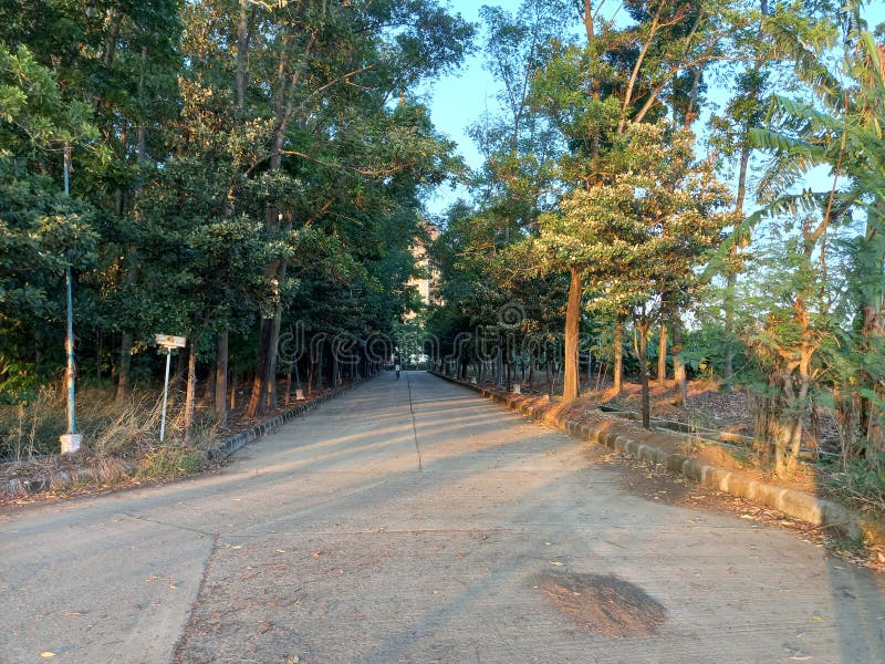 Cool road in morning stock photo. Image of aerial, morning - 228211898