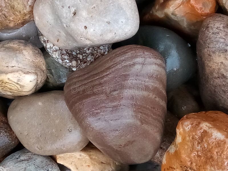 Cool rock stock image. Image of rocks, cool, rock, flower - 138086063