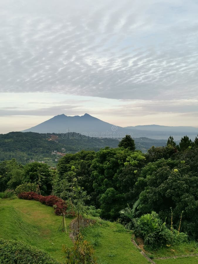 Cool sentul stock image. Image of forest, landscape - 262996605