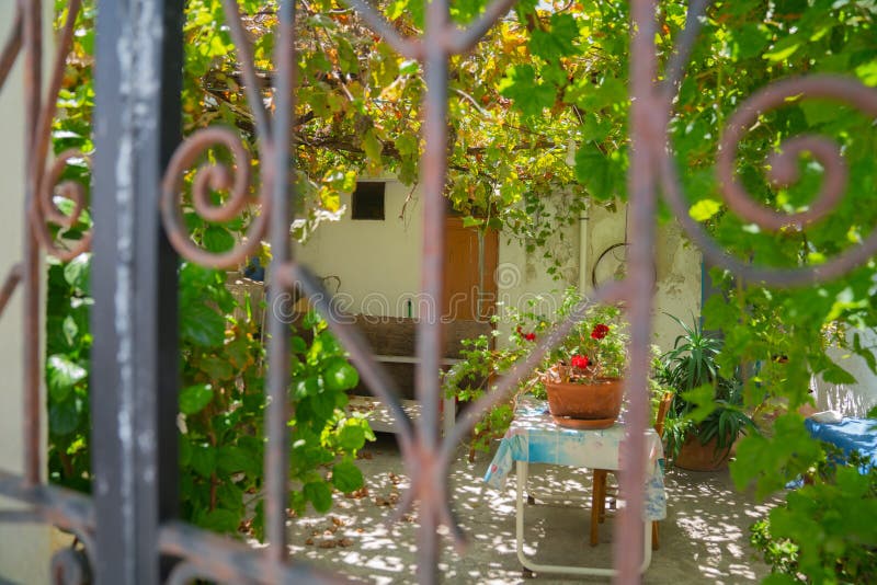 Cool shady garden stock image. Image of vines, decorative - 169175871