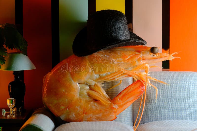 Cool Shrimp Top Hat stock photo. Image of oxymoron, jumbo - 238221526