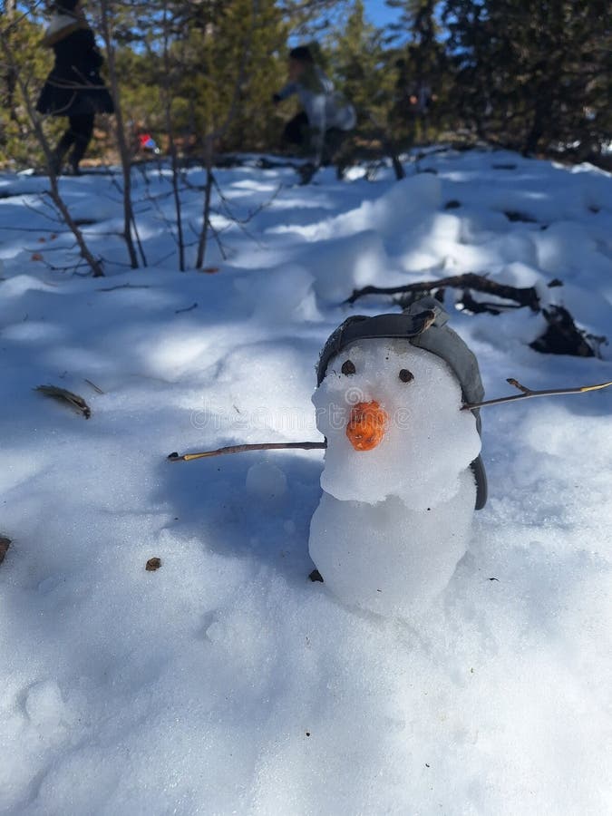 Cool snowman with a hat stock image. Image of snow, white - 307027347
