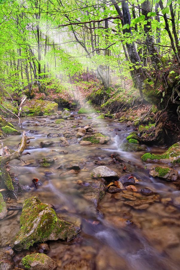 Cool stream in the park stock photo. Image of plant, fluid - 25089636