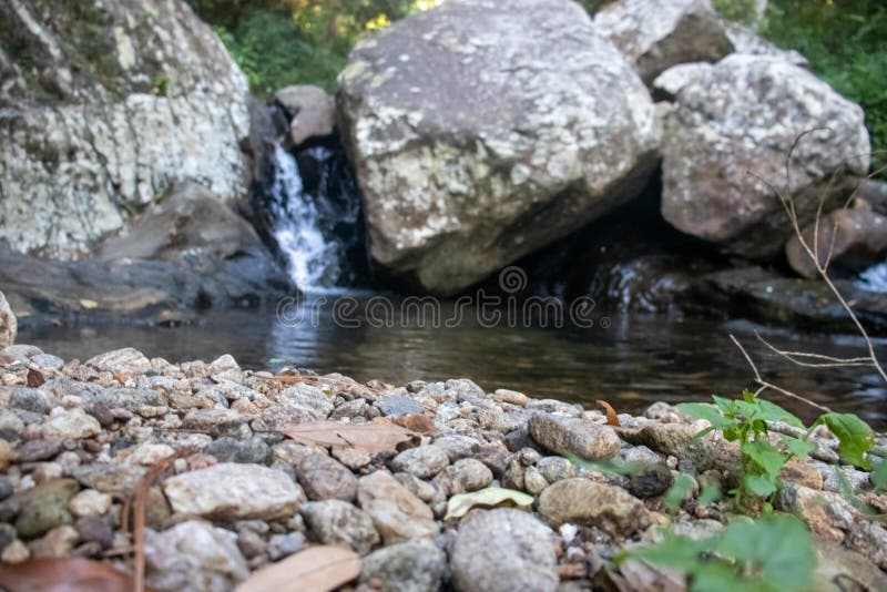 Cool Time River in the Forest Closeup Stock Photo - Image of stream ...