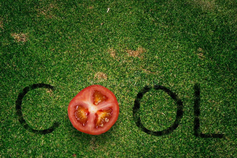 Cool tomato stock photo. Image of ketchup, fresh, kitchen - 56710296