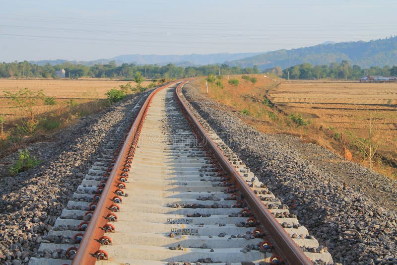 Railroad Tracks in the Middle of Rice Fields Stock Photo - Image of ...