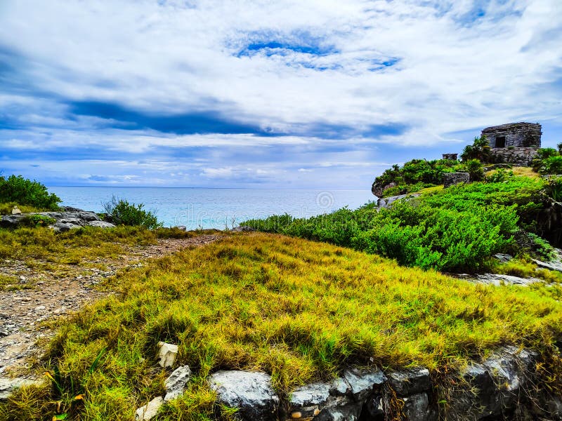 Cool View of the Forest in the Afternoon Stock Photo - Image of ...