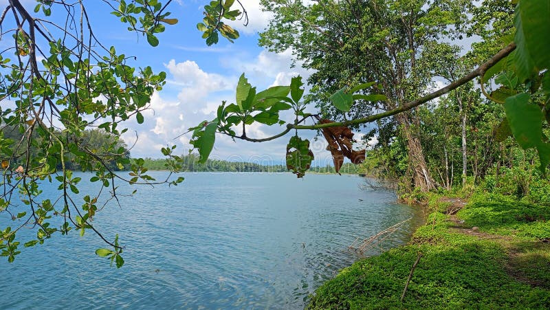 Cool Views of Gardens in the Wild in the Village Stock Image - Image of ...