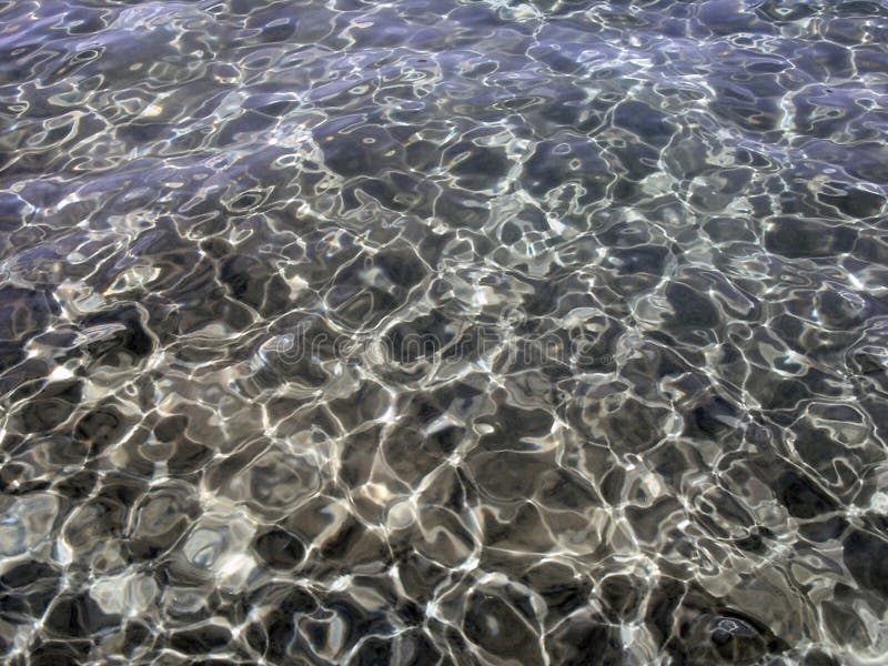 Cool water stock photo. Image of tourist, park, wildlife - 12498