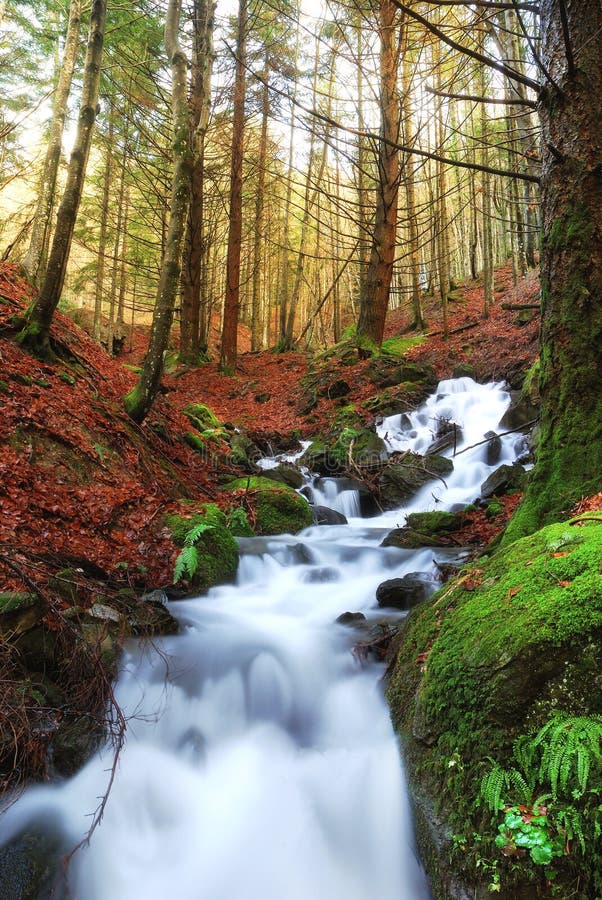 100,937 Cool River Stock Photos - Free & Royalty-Free Stock Photos from ...