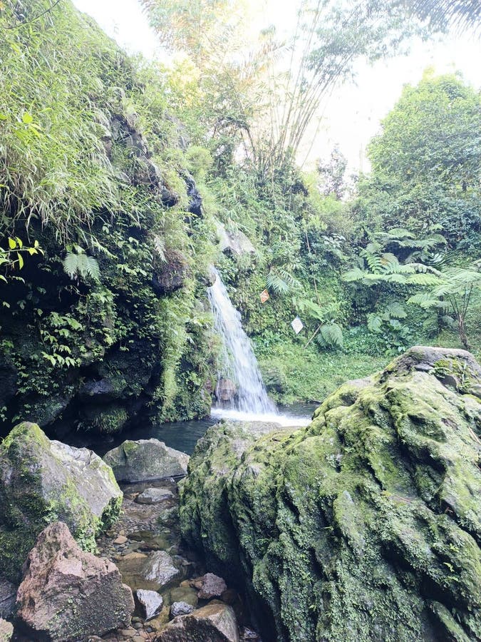 Cool Waterfall in the Morning in Baturaden, Central Java Stock Photo ...