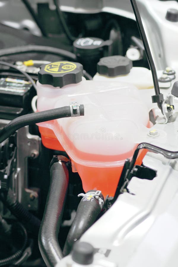 Coolant Container in a Car S Stock Image - Image of fluid, engine: 30799685