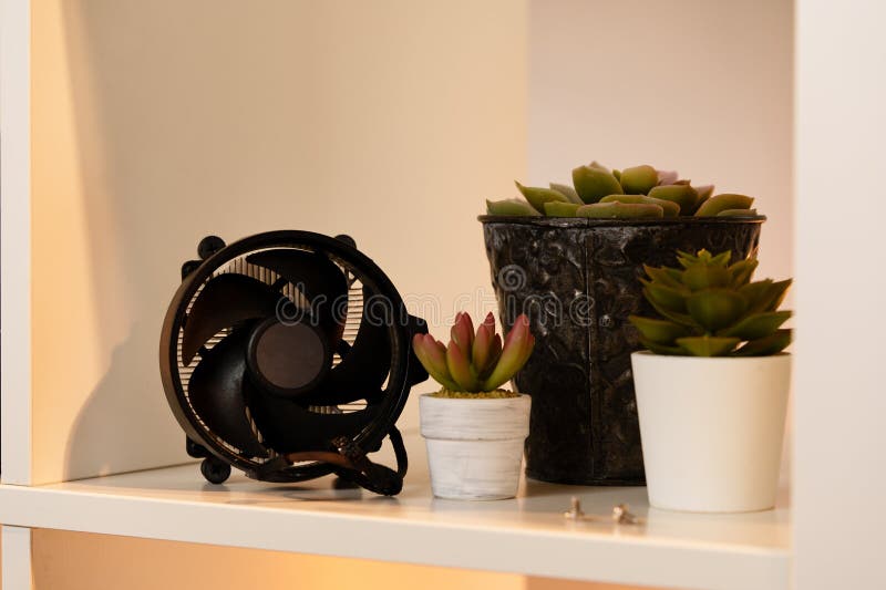 Cooler Computer Fan on a Shelf with Plants Stock Photo - Image of ...