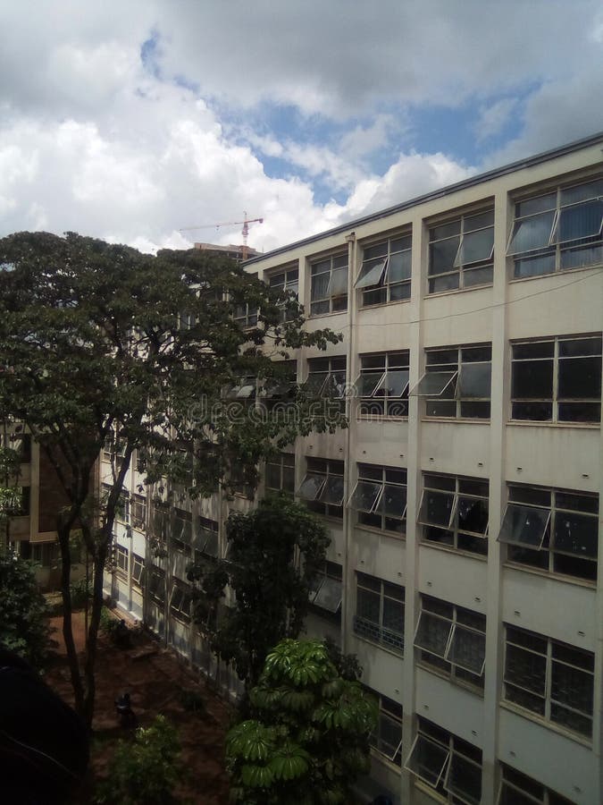 Coolest Profile Pic about Environmental Conditions Stock Photo - Image ...