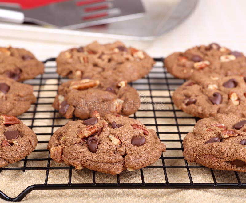 Cooling Chocolate Chip Cookies Stock Image - Image of cooling, snack ...