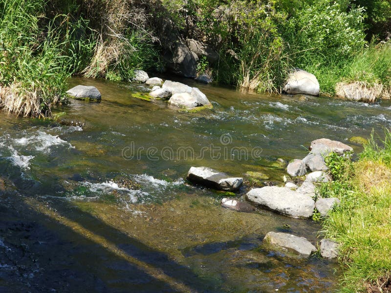 Cooling Off at the River on a Hot Day Stock Image - Image of cooling ...