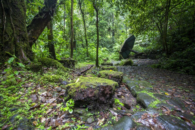 Coolness in the Forest, among the Rocks, Vegetation and the Fresh Air ...