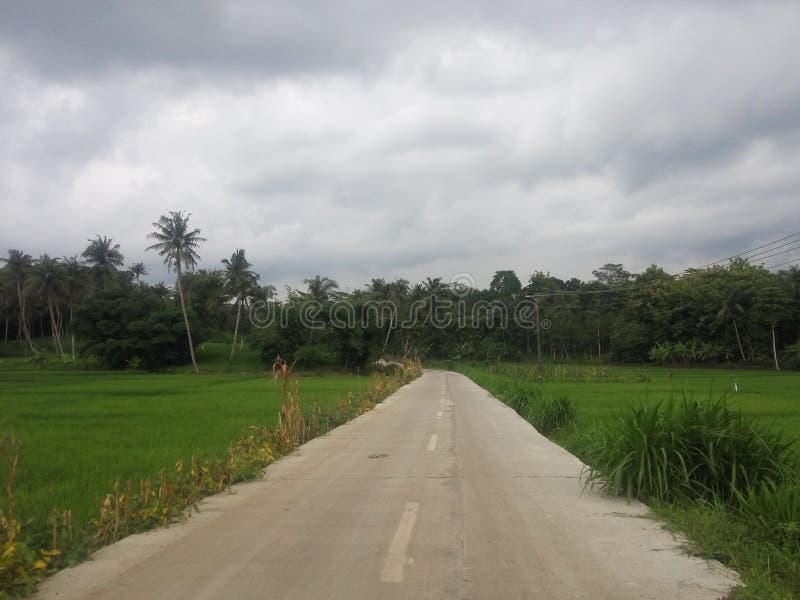 The Coolness of Village Roads without Pollution Clean Stock Image ...