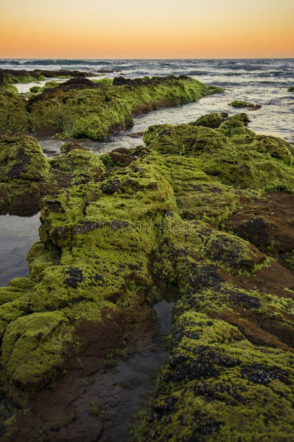 Coolum Beach at the Sunshine Coast Stock Photo - Image of summer ...