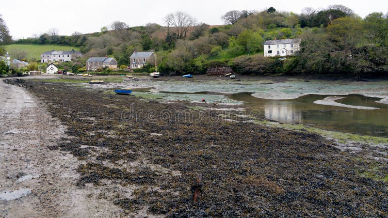 Coombe Cornwall stock photo. Image of river, boat, scenic - 25056840
