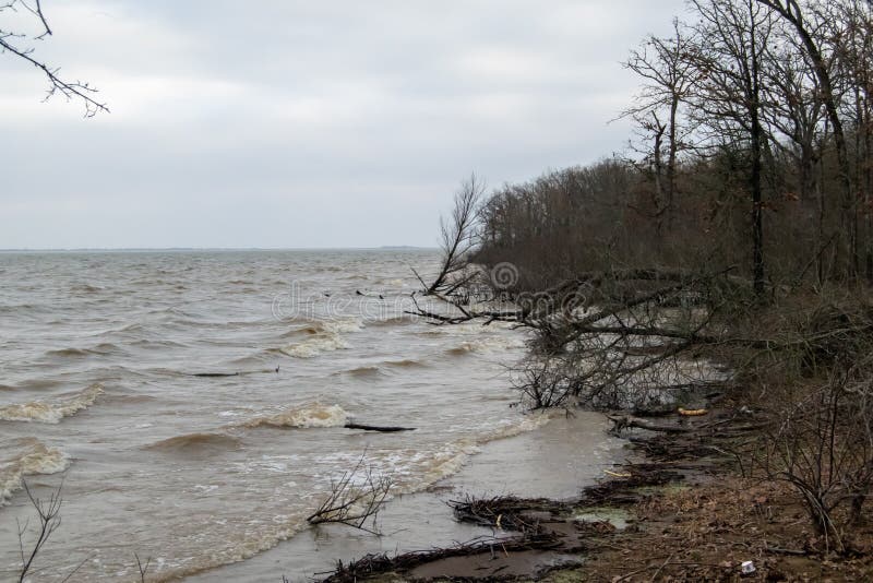 Cooper Lake State Park Texas Stock Photo - Image of landscape, cooper ...