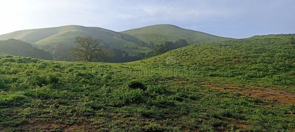 Coorg View Point on Mandalpatti Peak Stock Image - Image of point, view ...