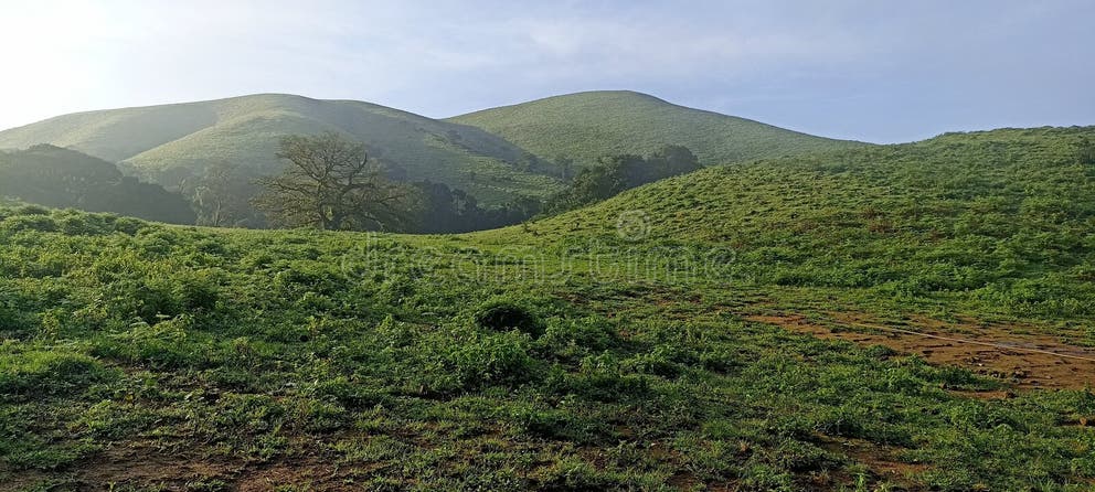 Coorg View Point on Mandalpatti Peak Stock Image - Image of point, view ...