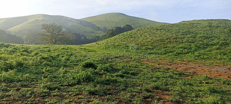 Coorg View Point on Mandalpatti Peak Stock Photo - Image of view, coorg ...