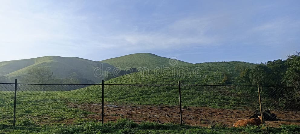 Coorg View Point on Mandalpatti Peak Stock Image - Image of coorg ...