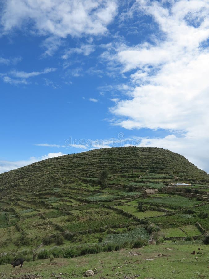 Copacabana Op Titicaca Meerkust Stock Afbeelding - Image of amerika ...