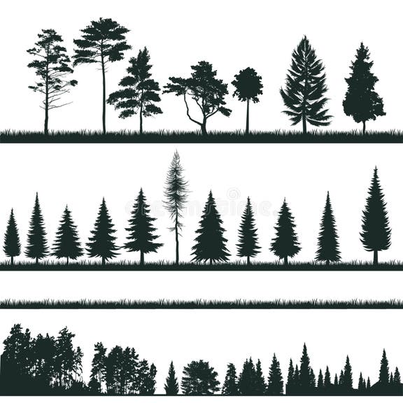 Groups of Tree Silhouettes - Conifers, Shrubs, Grass - Vectors Stock ...