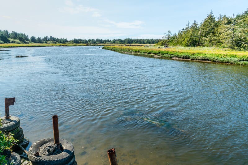 Copalis River Landscape stock photo. Image of tourism - 331146462