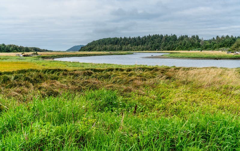 Copalis River Landscape 2 stock image. Image of coast - 330298107