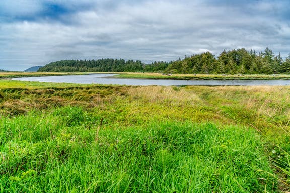 Copalis River Landscape 4 stock photo. Image of field - 330758534