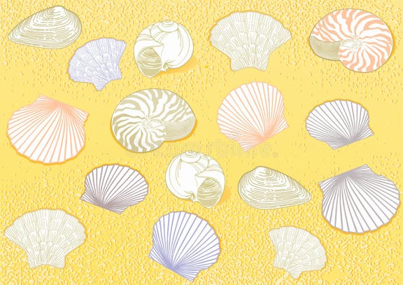 Coperture Del Mare Del Mitilo Illustrazione Vettoriale - Illustrazione ...